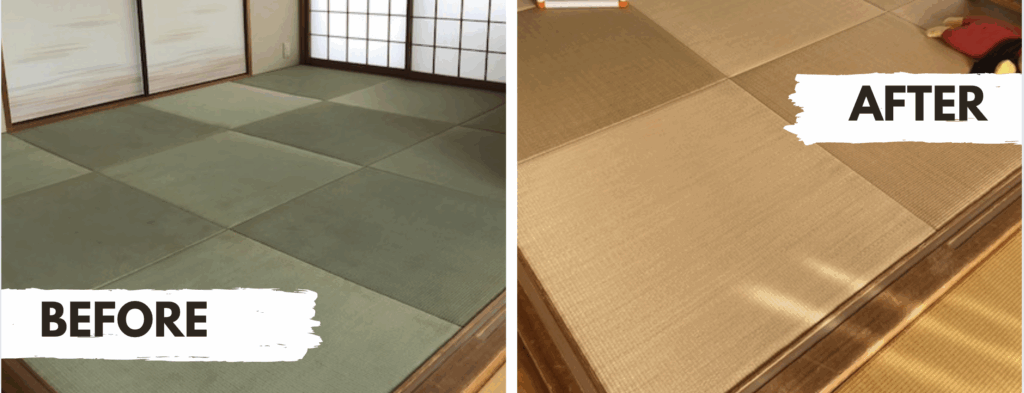 Tatami Colors: What to Expect from IGUSA and Other Customizable Series ...